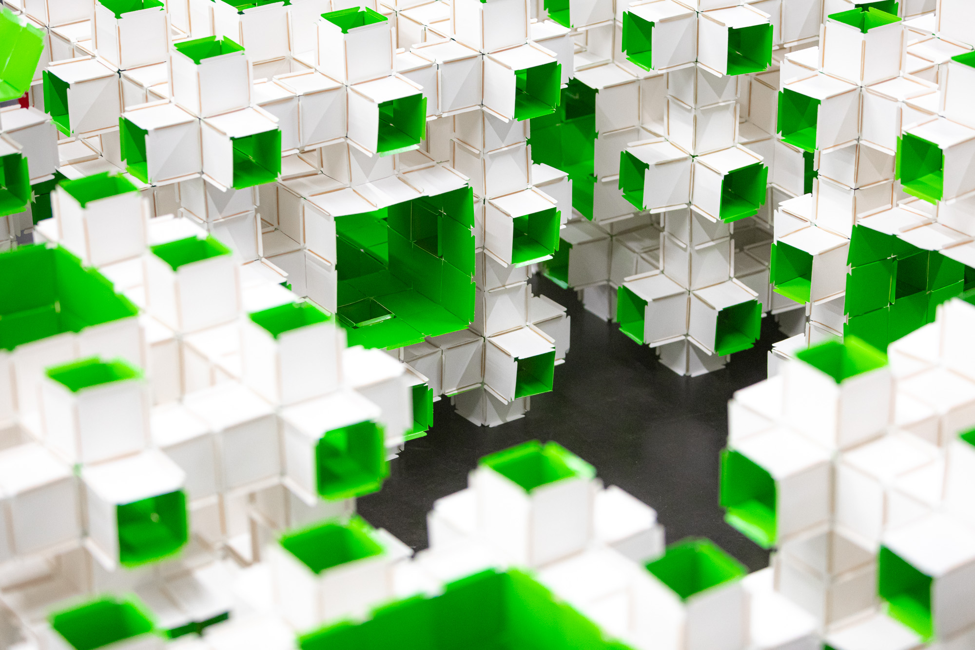 Gallery – GeoGenius